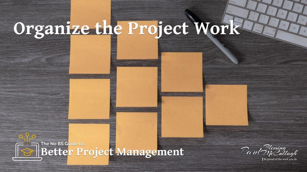 How to Organize & Guide, Do & Deliver Successful Projects